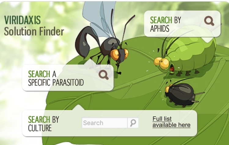 Bioline AgroSciences acquires Belgian expertise in aphids biocontrol | The Grower